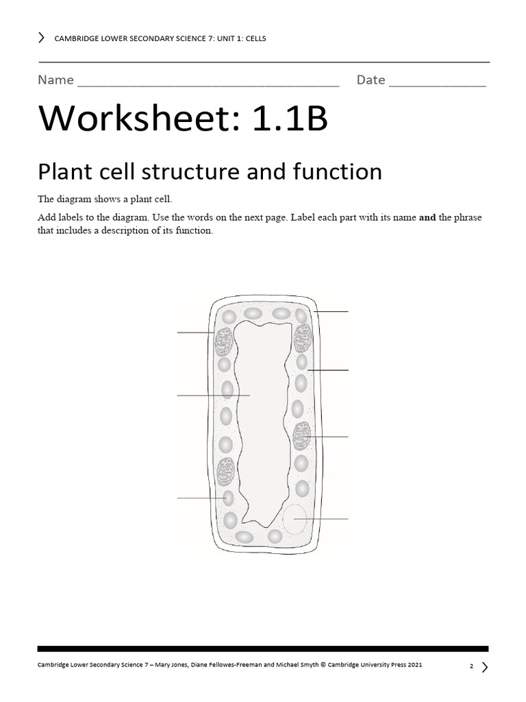 Grade 7 Science - Homework Week 2 | PDF