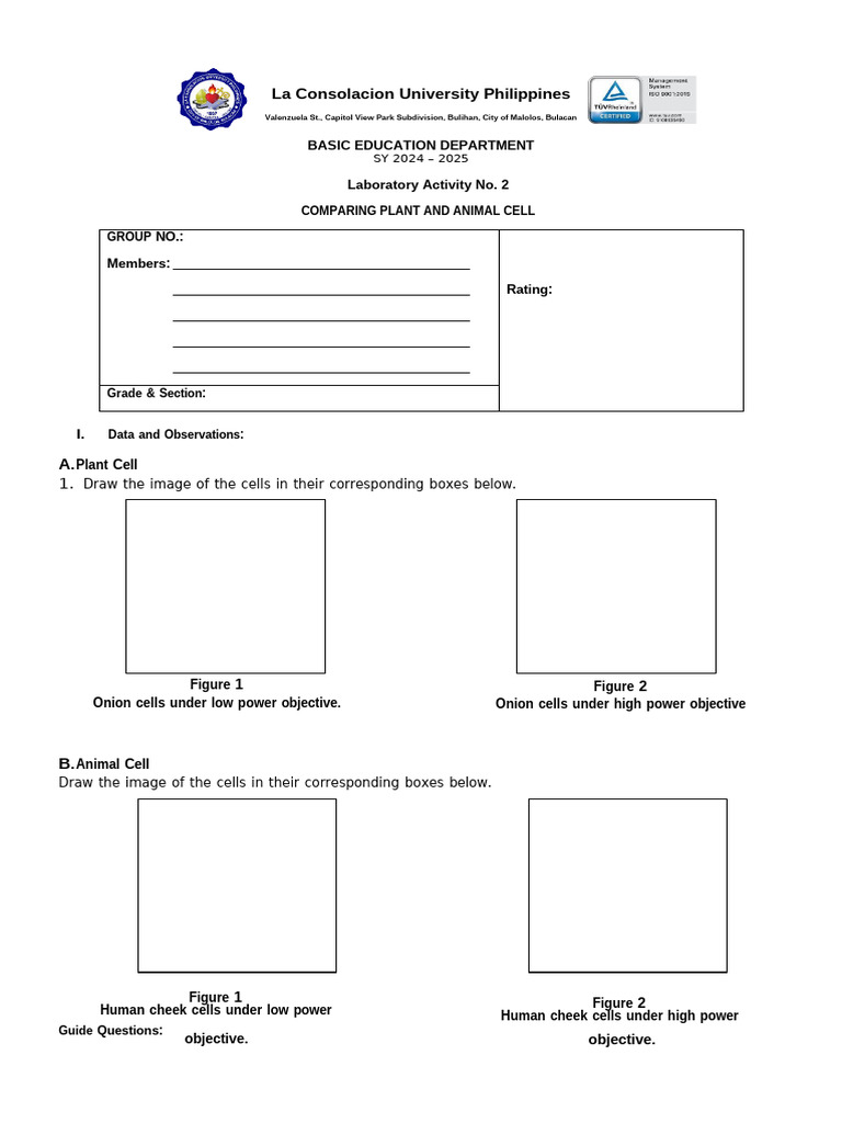 Laboratory Activity 2 Comparing Plant and Animal Cell | PDF