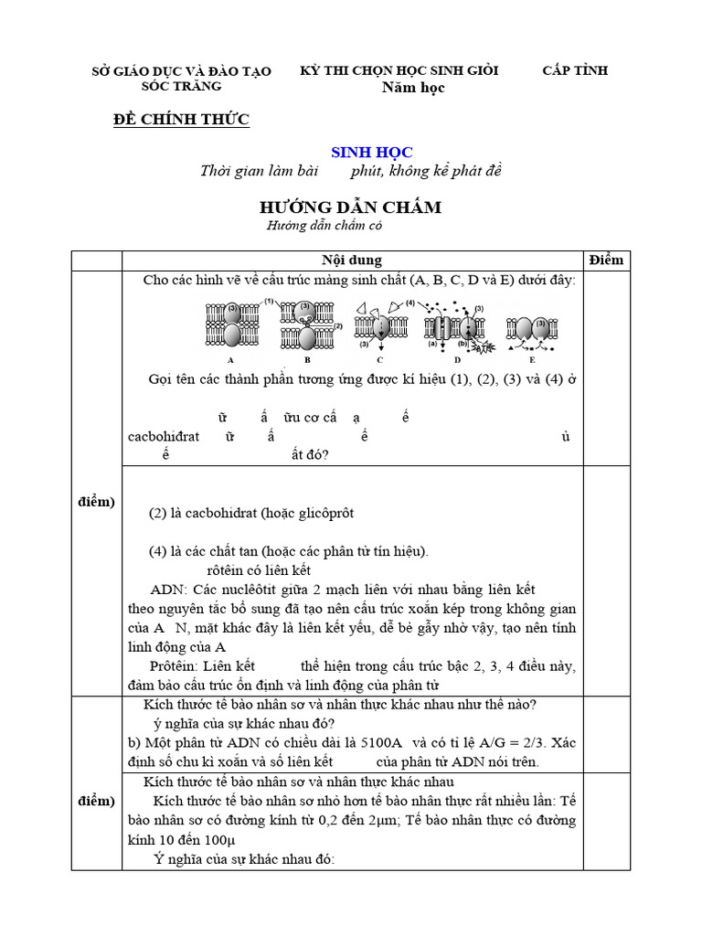 SinhHoc CT HSG HDC | PDF