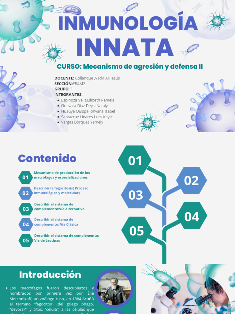 Grupo 1 - Sistema Inmunológico Innato | PDF | Complement System | Biology