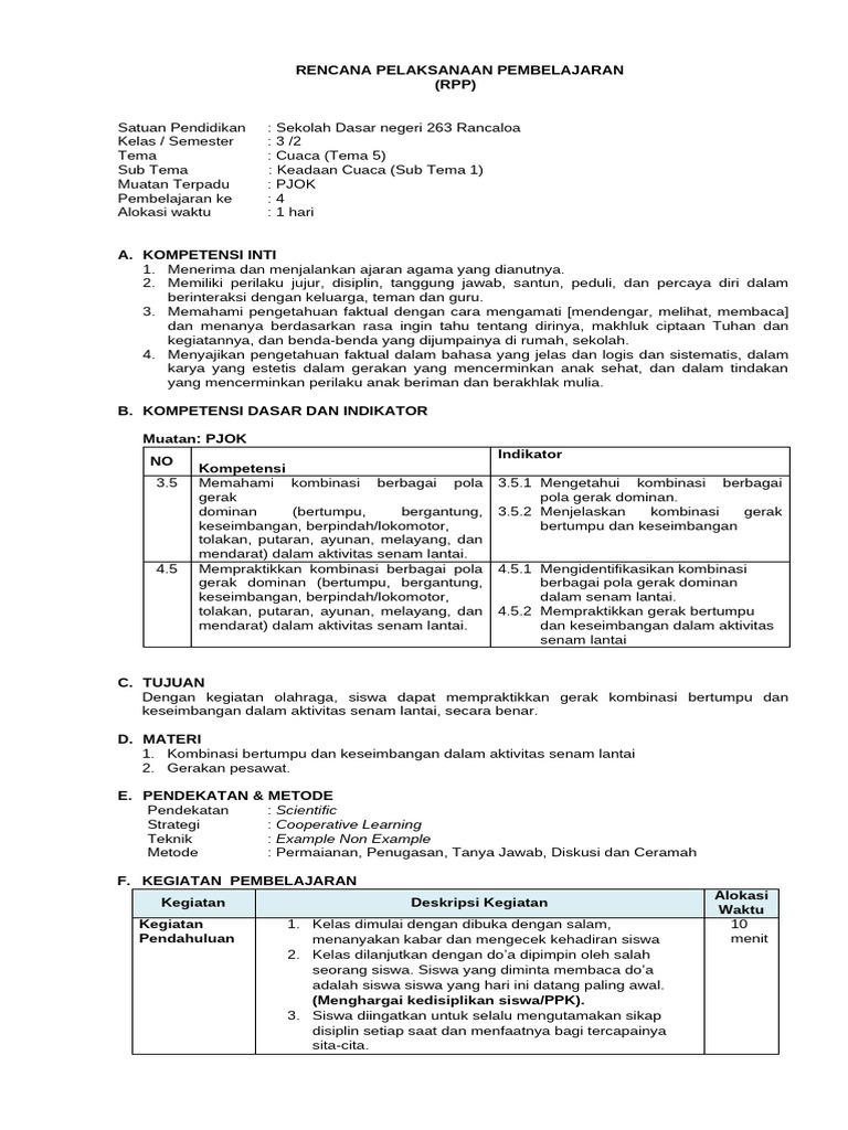 Scientific Cooperative Learning Example Non Example | PDF