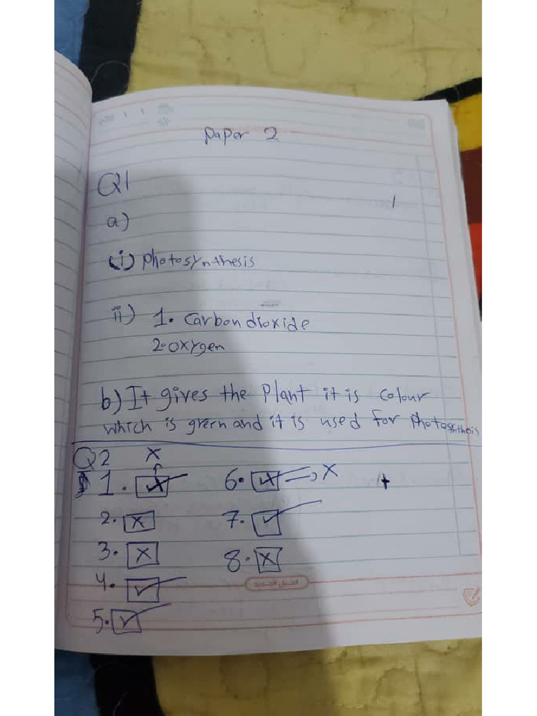 Since Exam Paper 2 | PDF