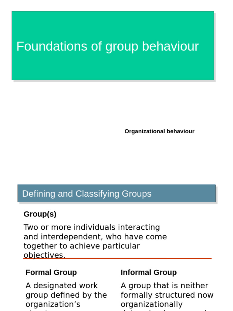 Foundations of Group Behaviour | PDF