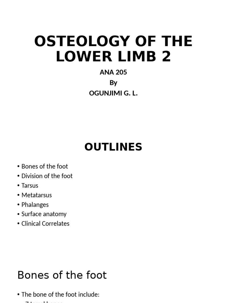 Osteology of The Lower Limb 2 | PDF