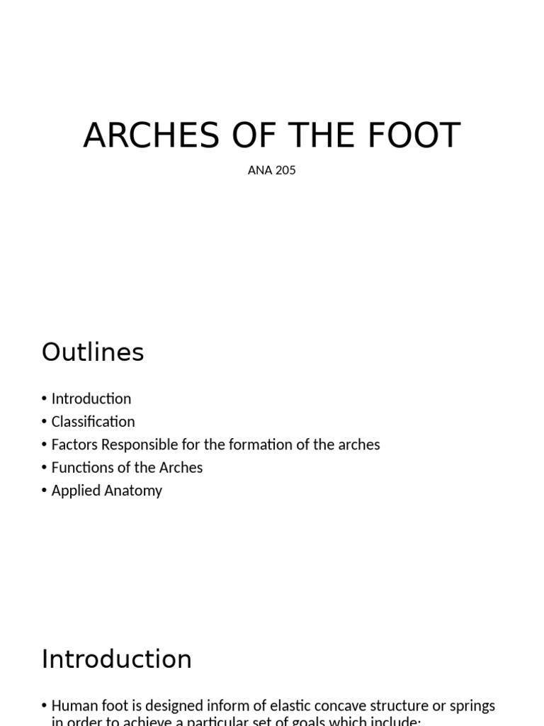 Arches of The Foot | PDF
