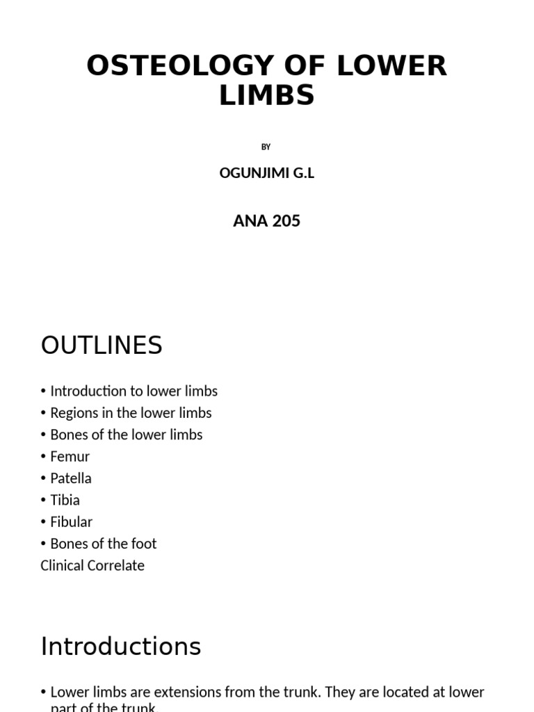 Lower Limbs | PDF