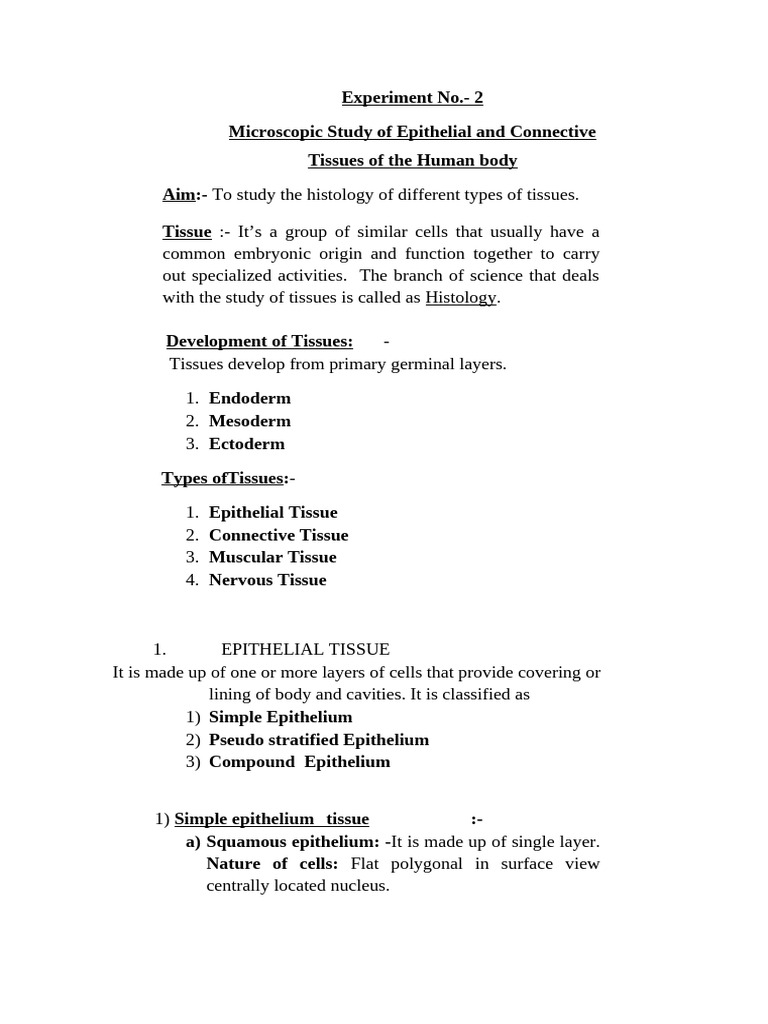 Experiment No- 2 | PDF
