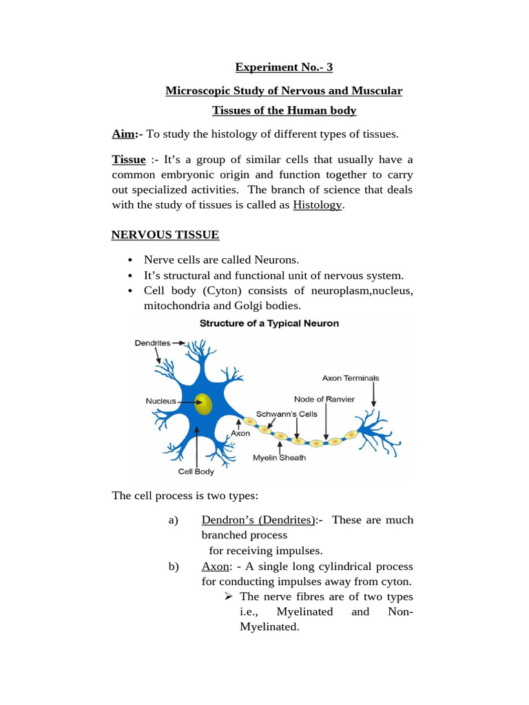 Experiment No-3 | PDF