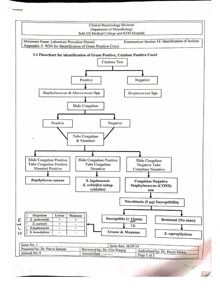 KEM Flowcharts | PDF