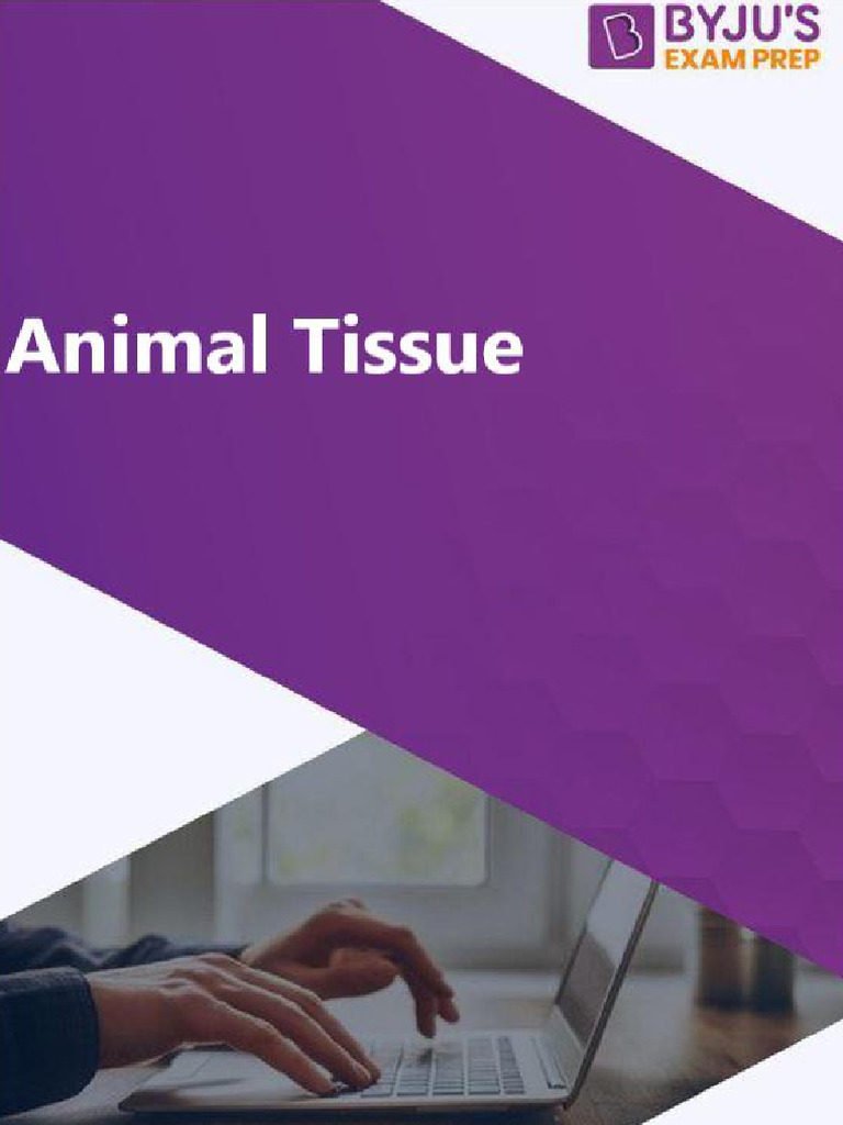 Byjus Animal Tissue Notes Final 46-2-191684670553787 | PDF