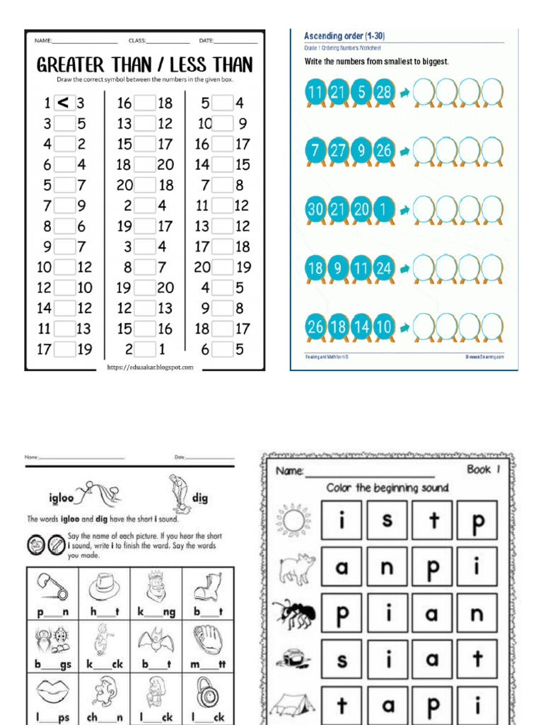 Carnation Day 4 Activity | PDF