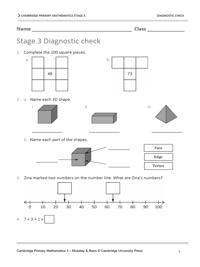 G3 Math Diagnostic Check | PDF