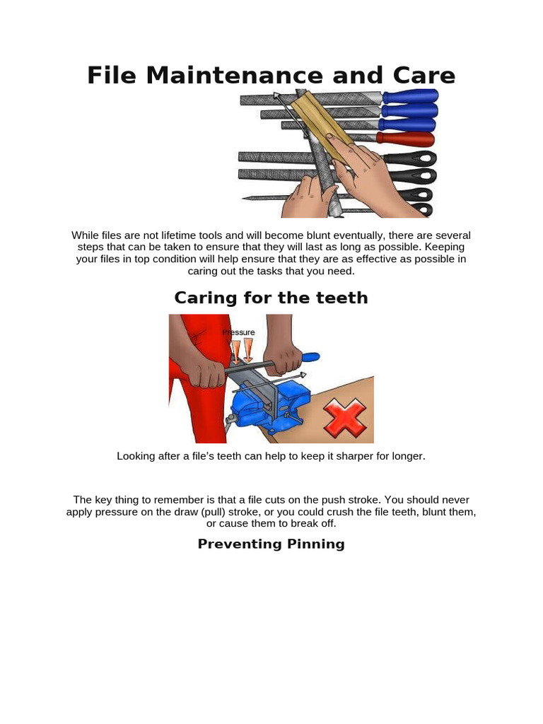 File Maintenance and Care Guide | PDF | Metals | Home & Garden