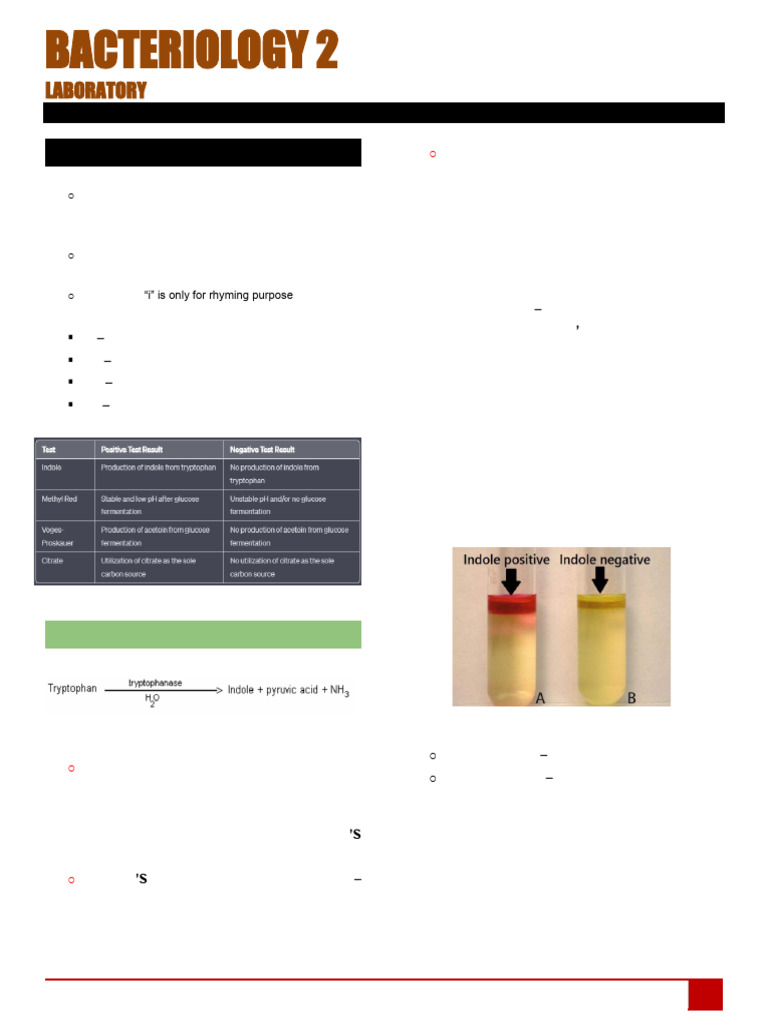 Bacteriology Lab Imvic Reviewer | PDF