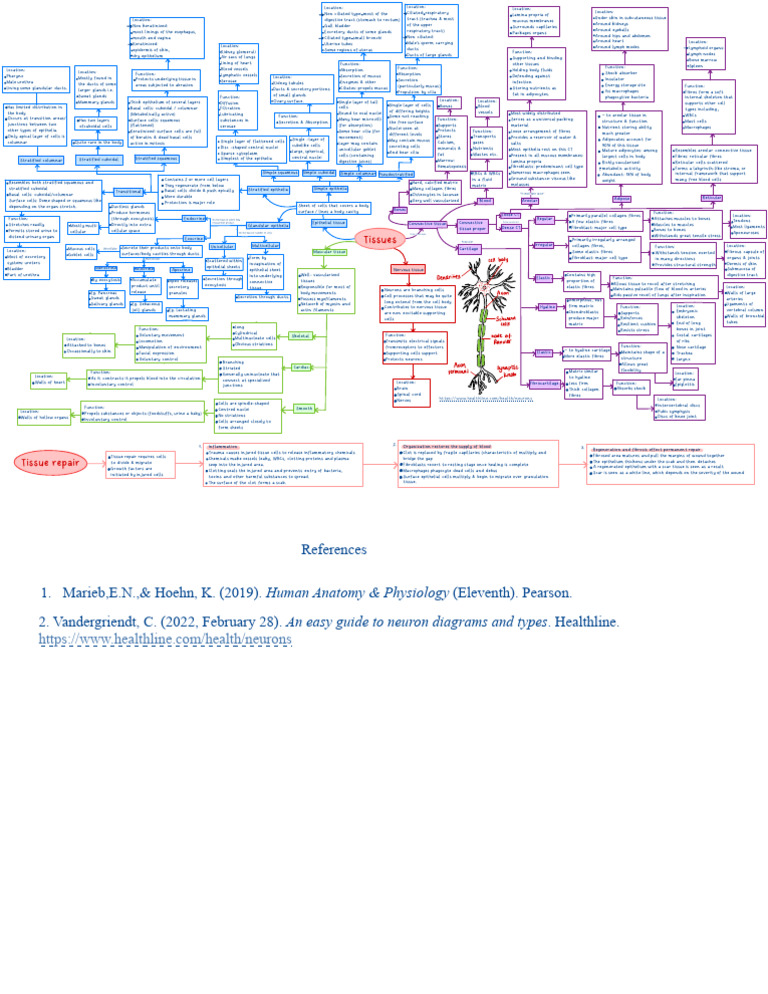 BLG ConceptMap 2 1523766273186503 | PDF