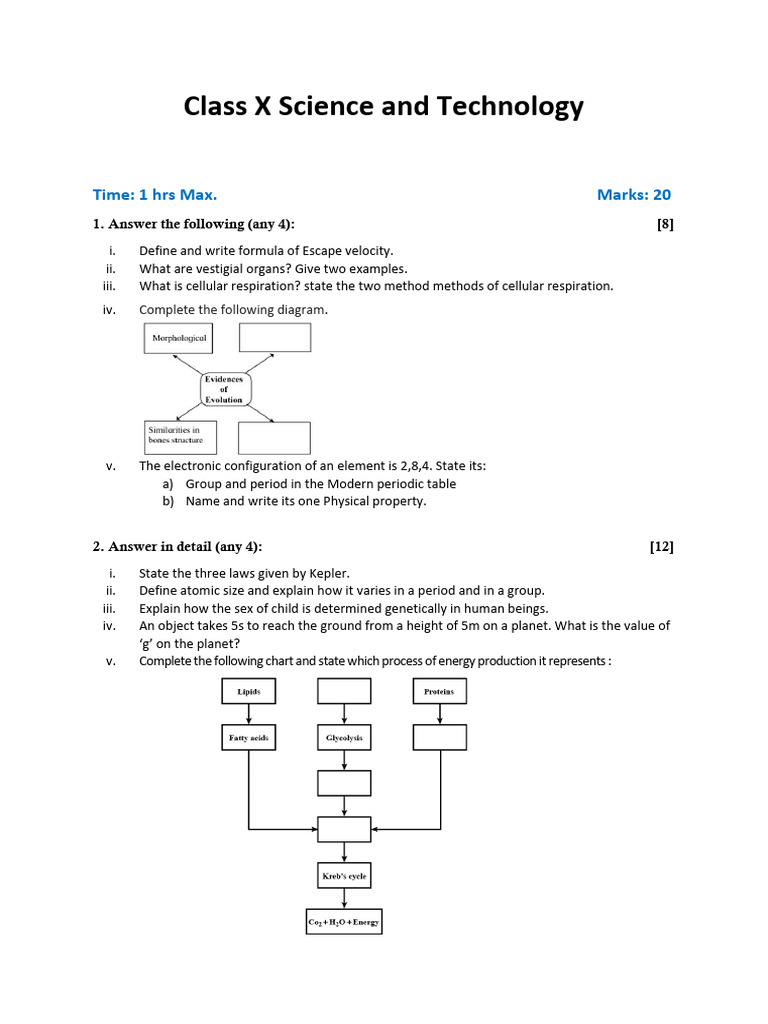 Class X Science paper | PDF