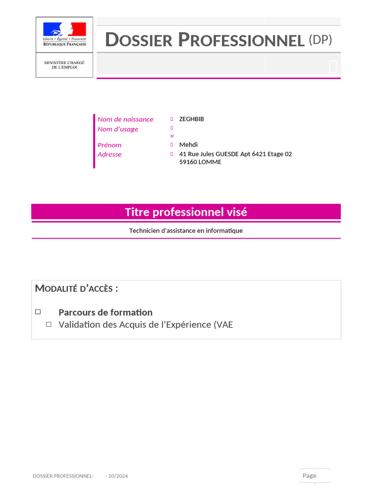 Dossier Professionnel (1) | PDF