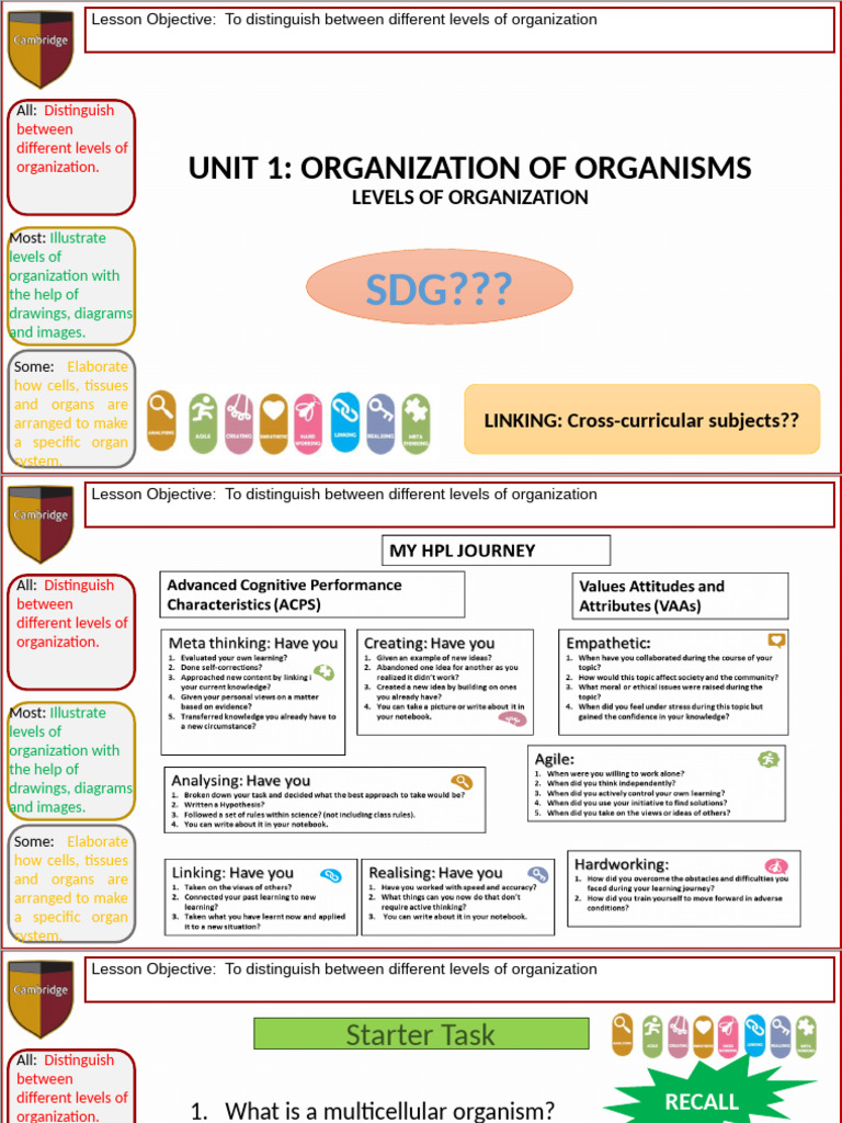 Cell Oragnisation - L3 Level of Organization | PDF