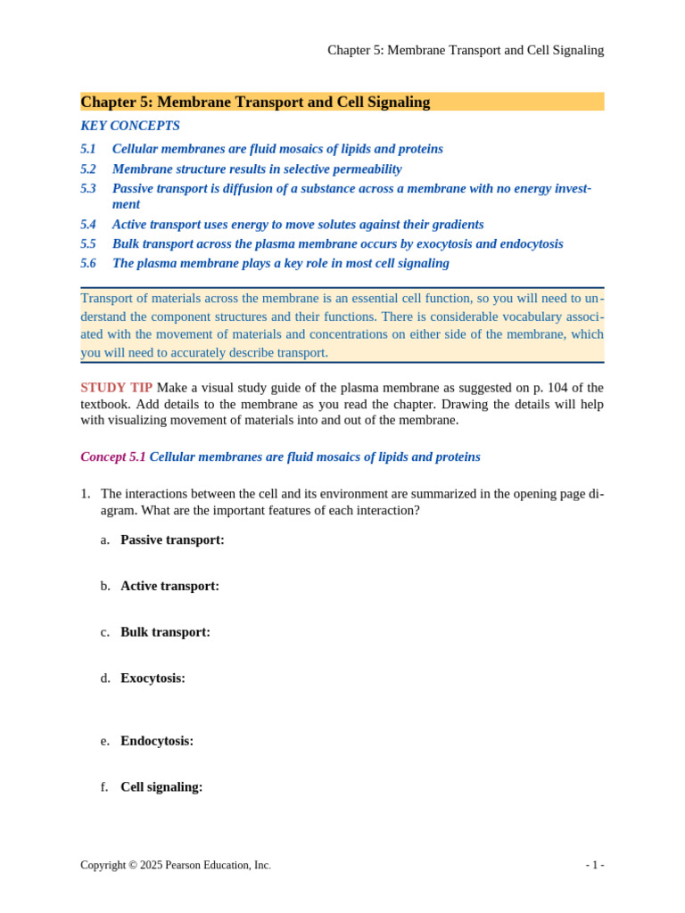 Chapter 5 Reading Guide Questions | PDF