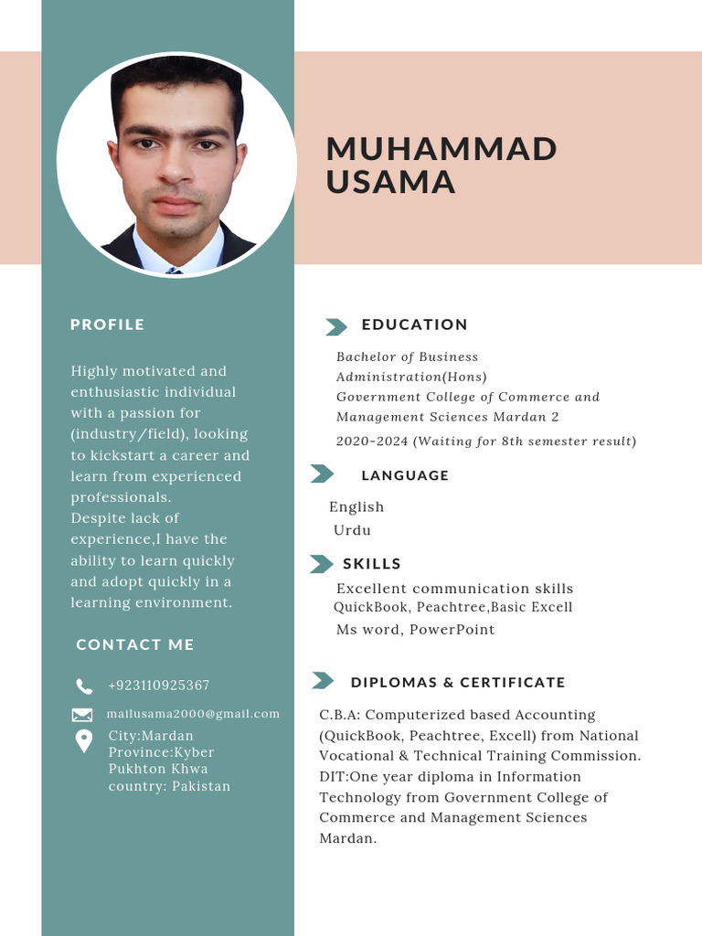 Usama CV | PDF