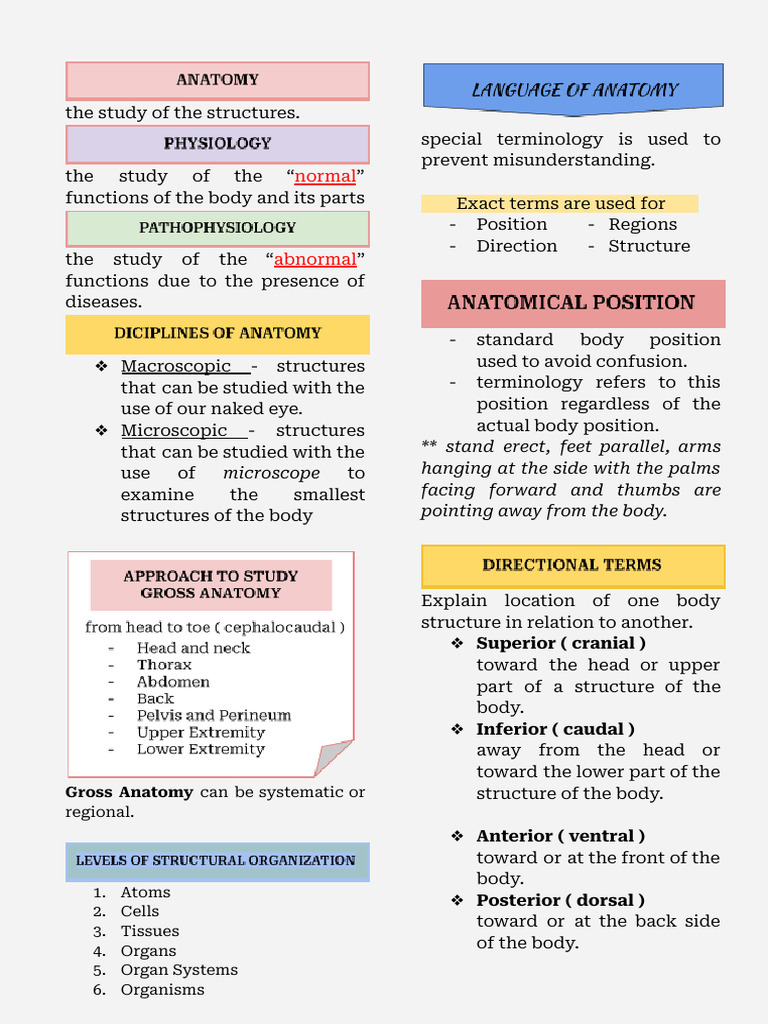 Language of Anatomy | PDF