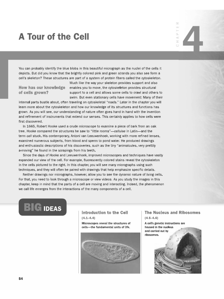 Chapter 4 - Tour of The Cell | PDF