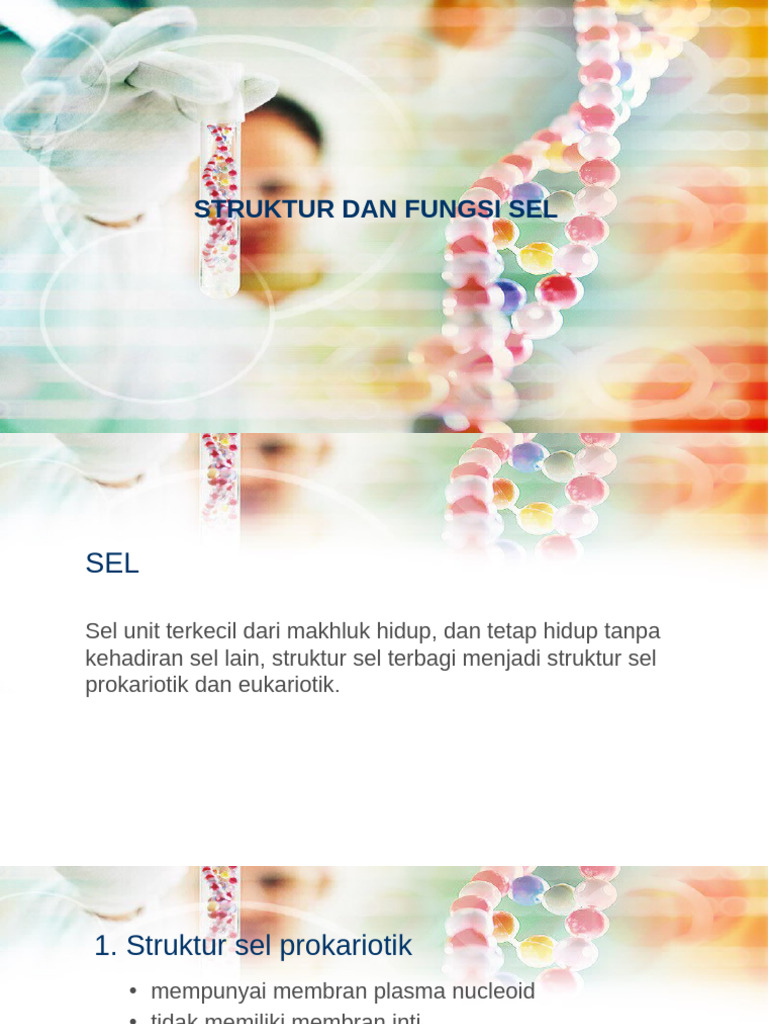 Struktur Dan Fungsi Sel Pdf