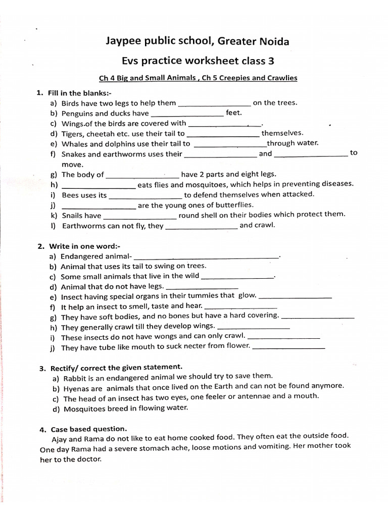 GR 3, CH 4 and CH 5, Worksheet | PDF