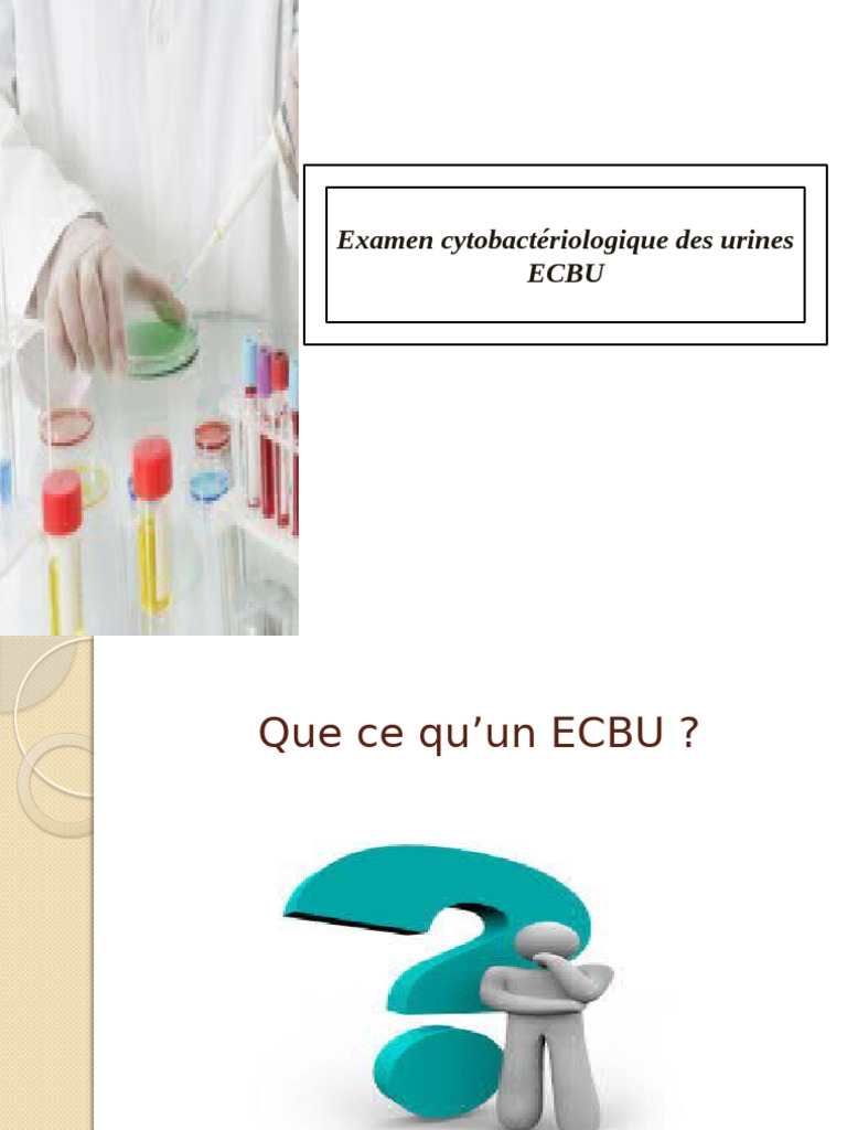 ECBU | PDF