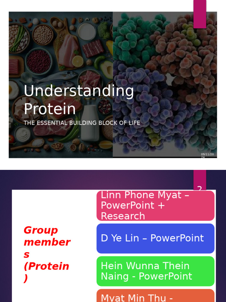 Protein Presentation | PDF