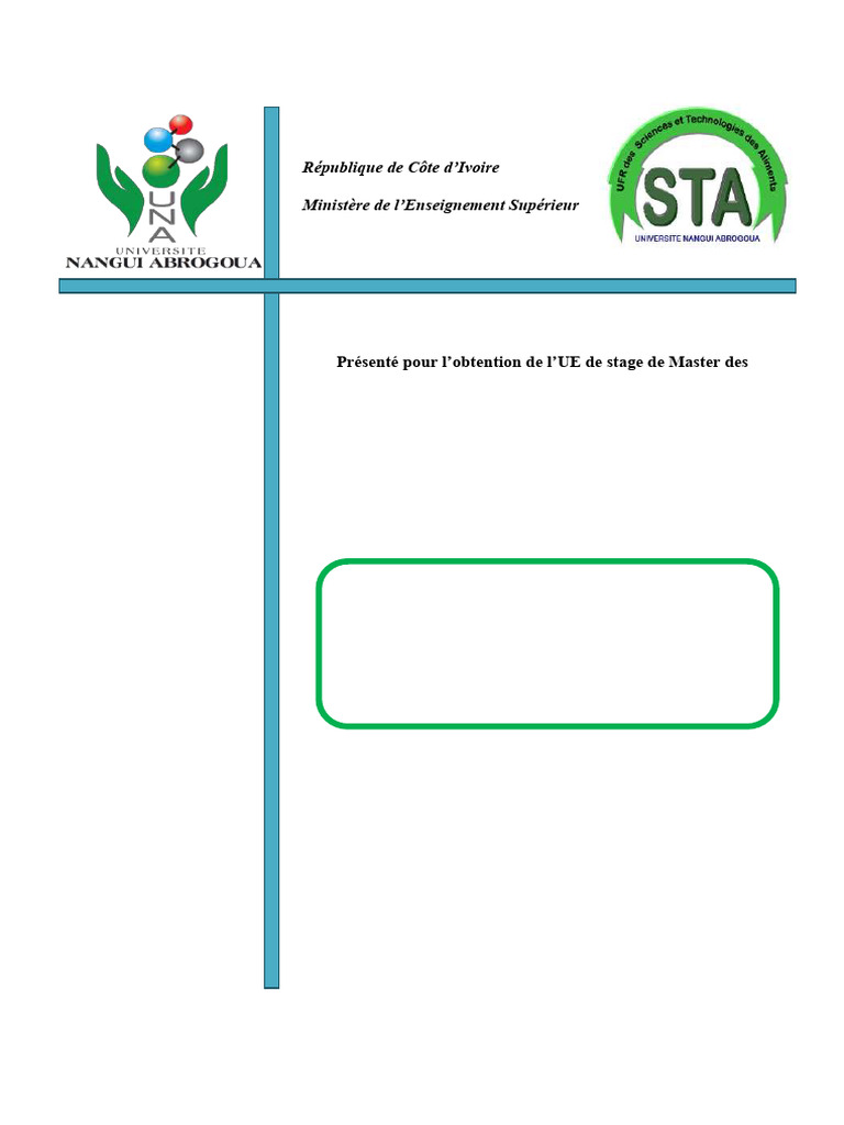 MEMOIRE MASTER FINAL | PDF