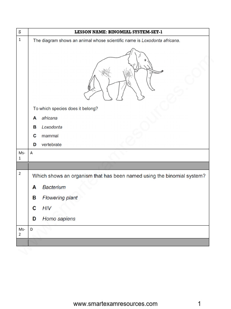 1.5 Binomial System Set 1 Ms | PDF