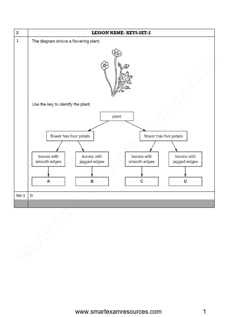 1.7 Dichotomous Keys Set 2 Ms | PDF