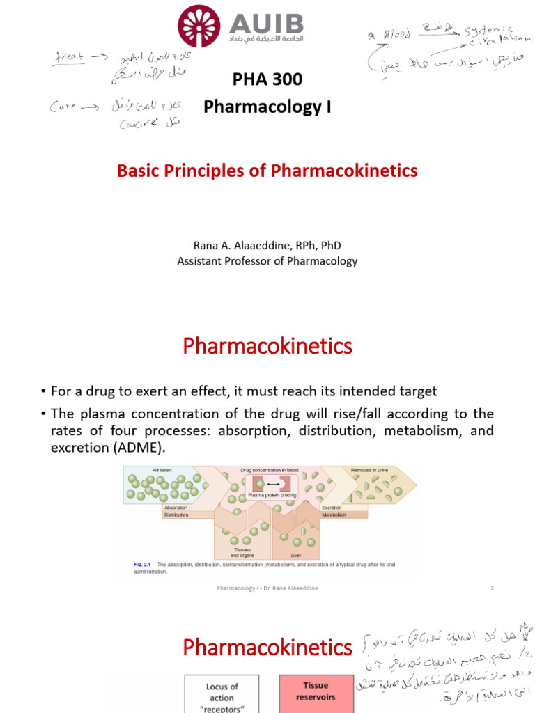 Basic Principles of Pharmacokinetics | PDF