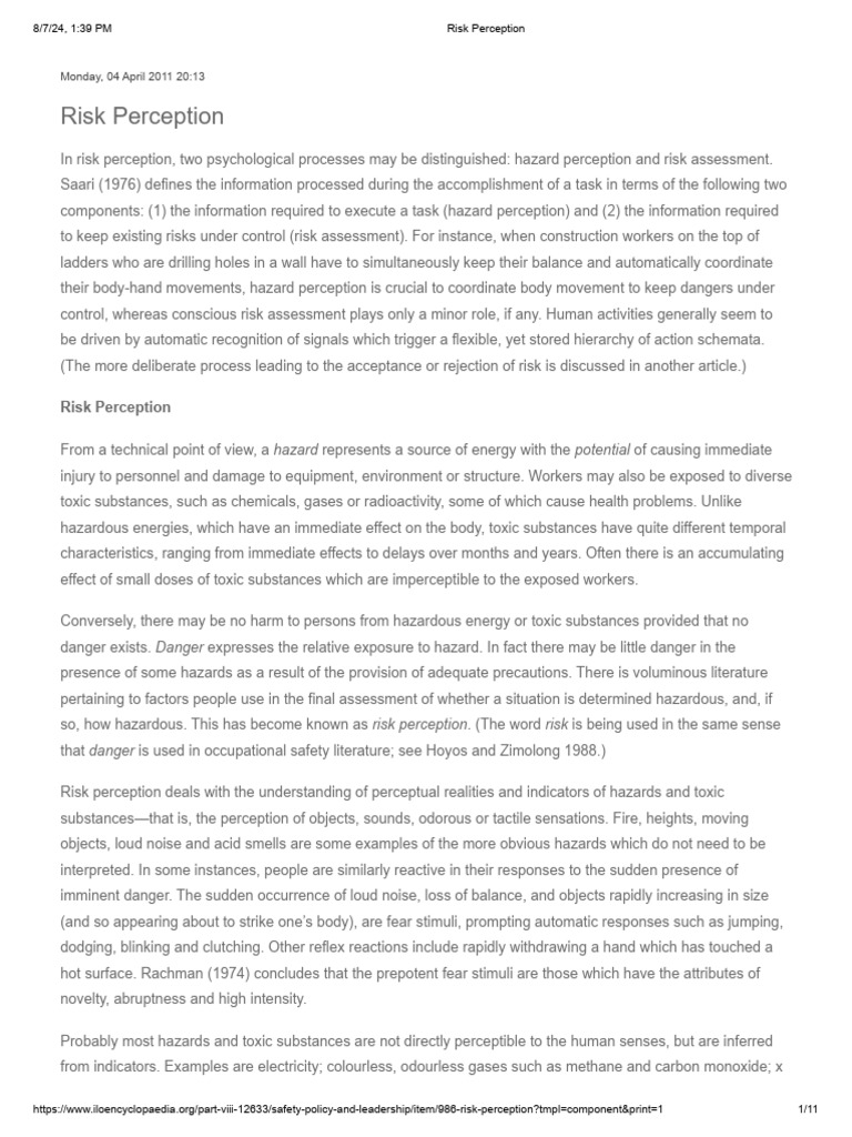Risk Perception | PDF