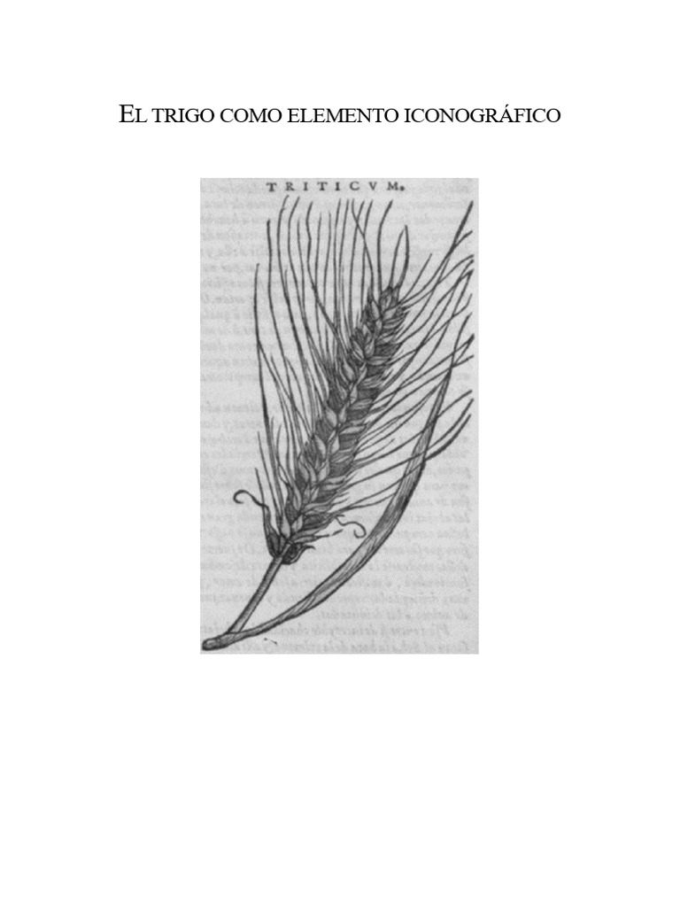 El Trigo y Sus Valores Iconográficos | PDF