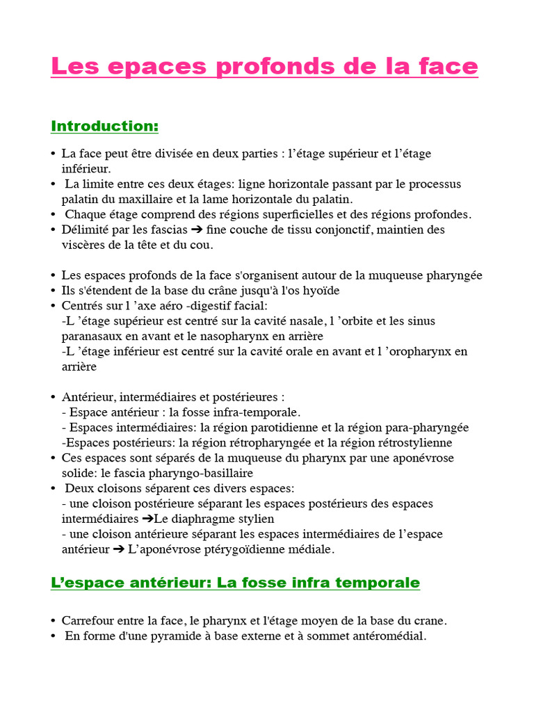 Espaces Profonds de La Face | PDF