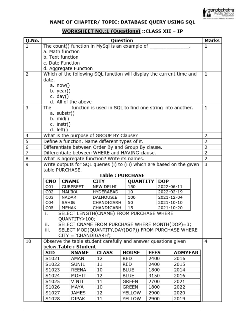 Class 12 - IP Worksheet | PDF