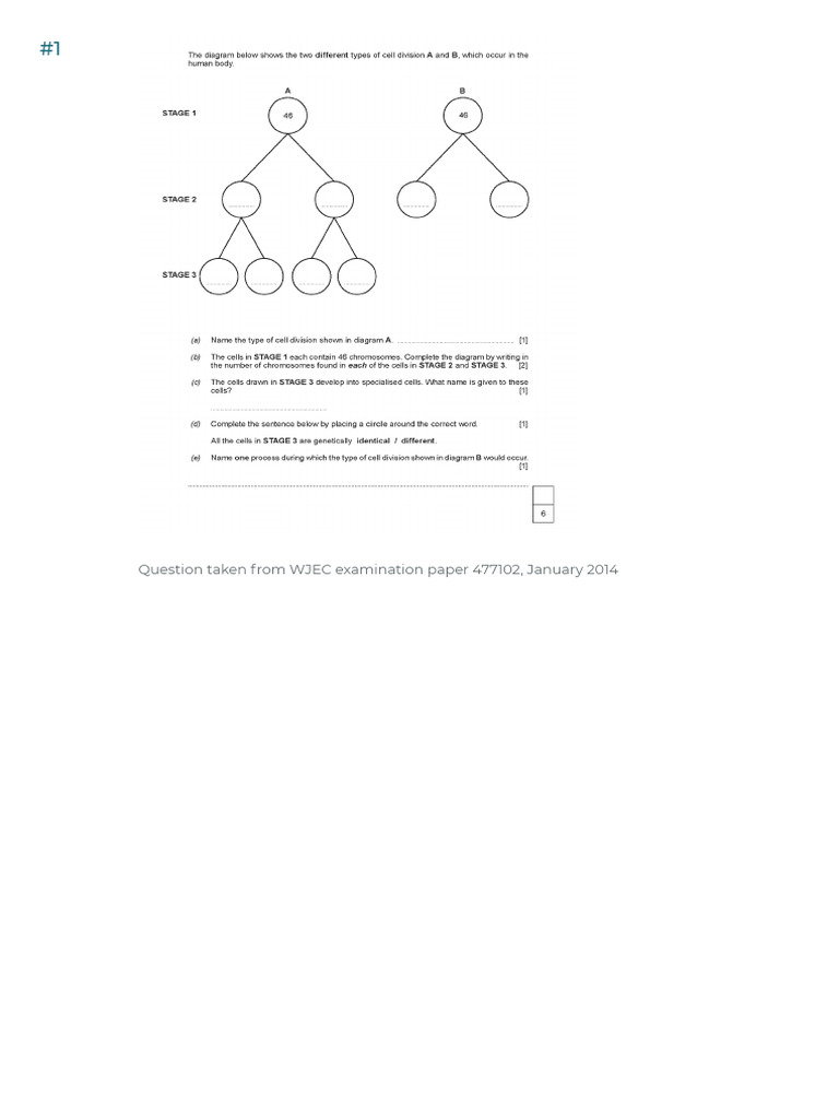 Cell Division Exam Questions and Marking | PDF