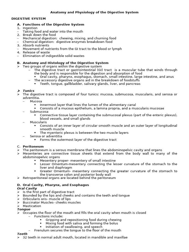Digestive System | PDF