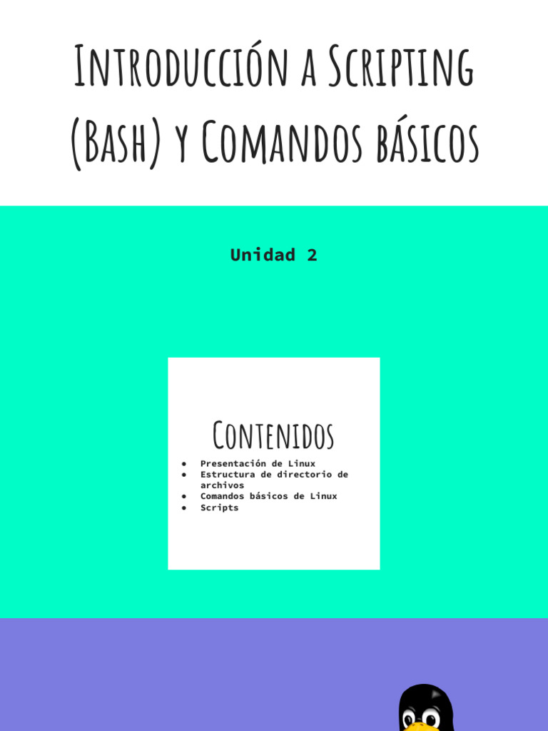 2.0 - Introducción A Scripting (Bash) y Comandos Básicos | PDF