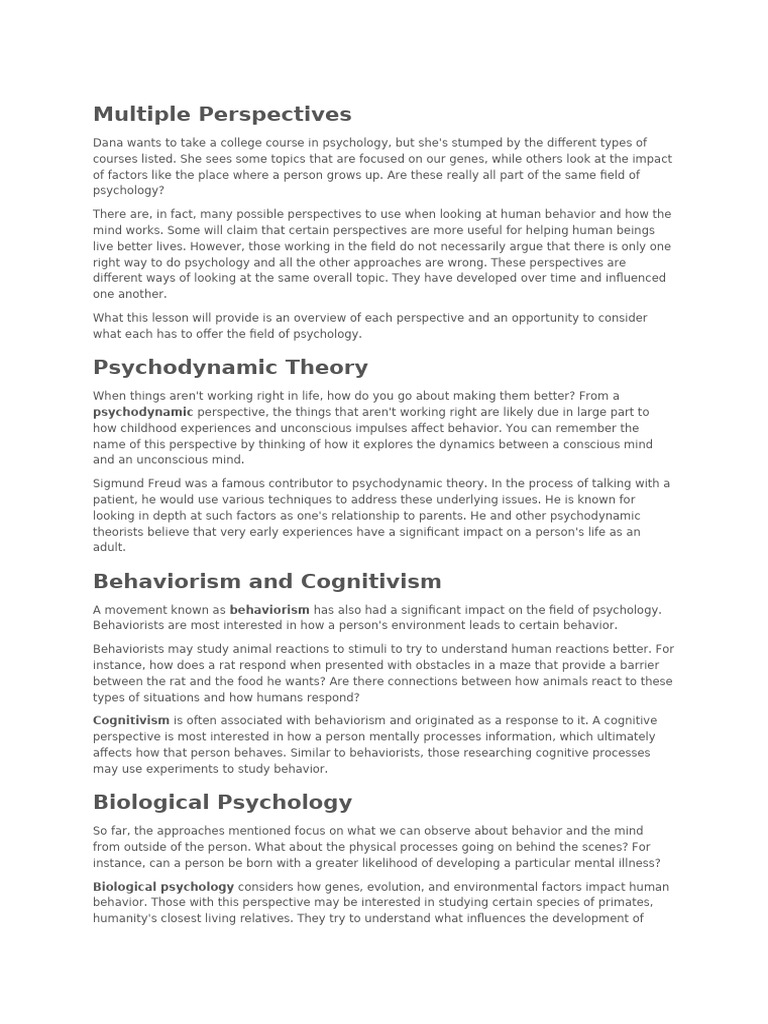 Multiple Perspectives | PDF