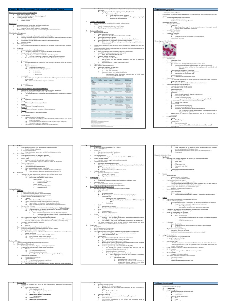 Chapter 14 Strep | PDF | Streptococcus | Infection