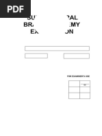 Setswana Composition and Letter Psle Mock | PDF