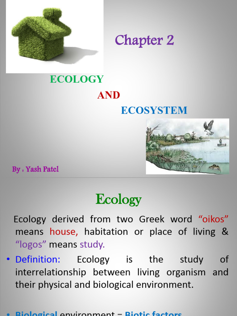 Ecology: Ecosystem | PDF