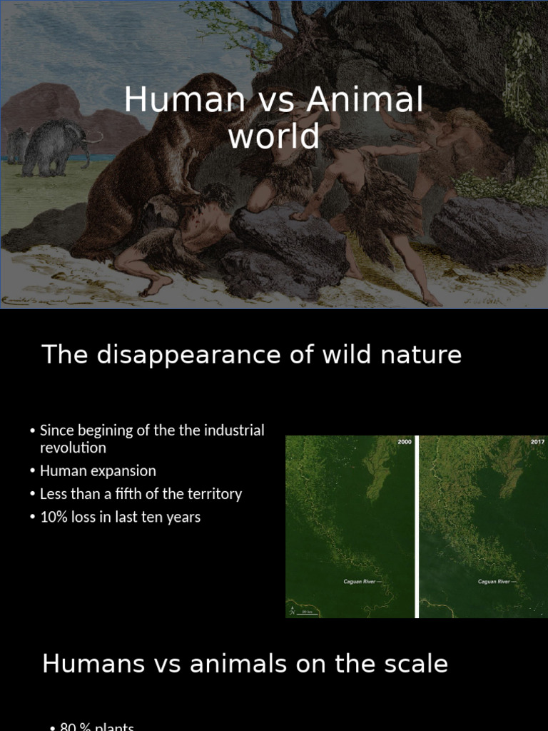 Human Vs Animal World | PDF