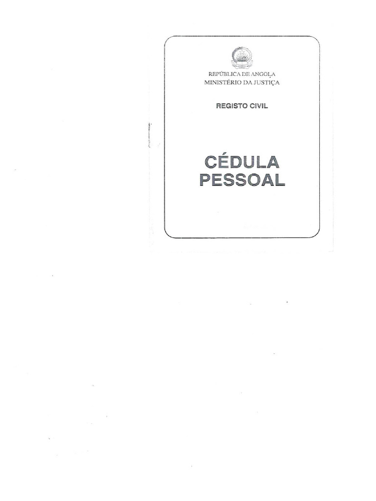 Birth Reg Form Angola | PDF