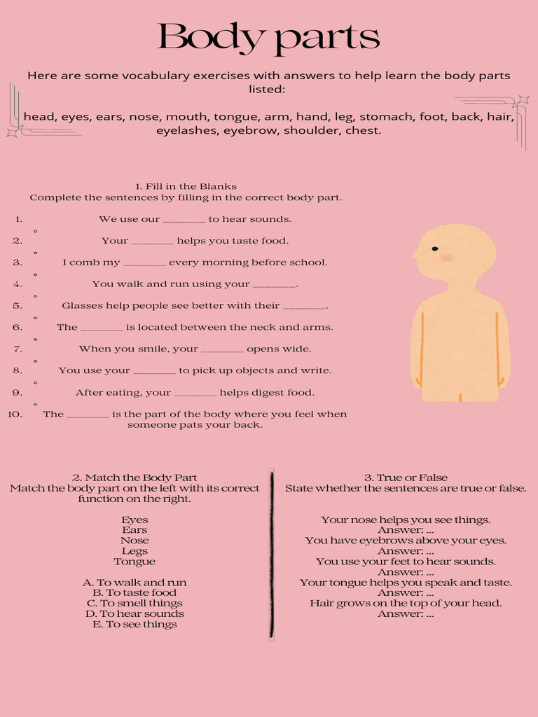 Body Parts Vocabulary | PDF