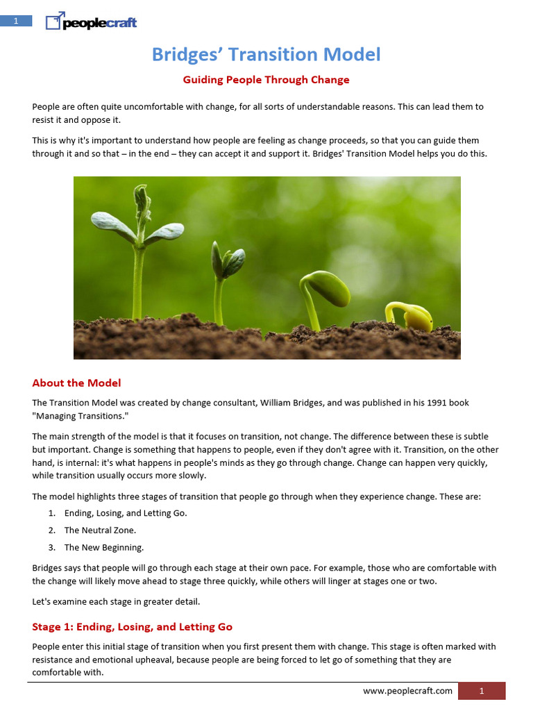 Bridges' Transition Model | PDF