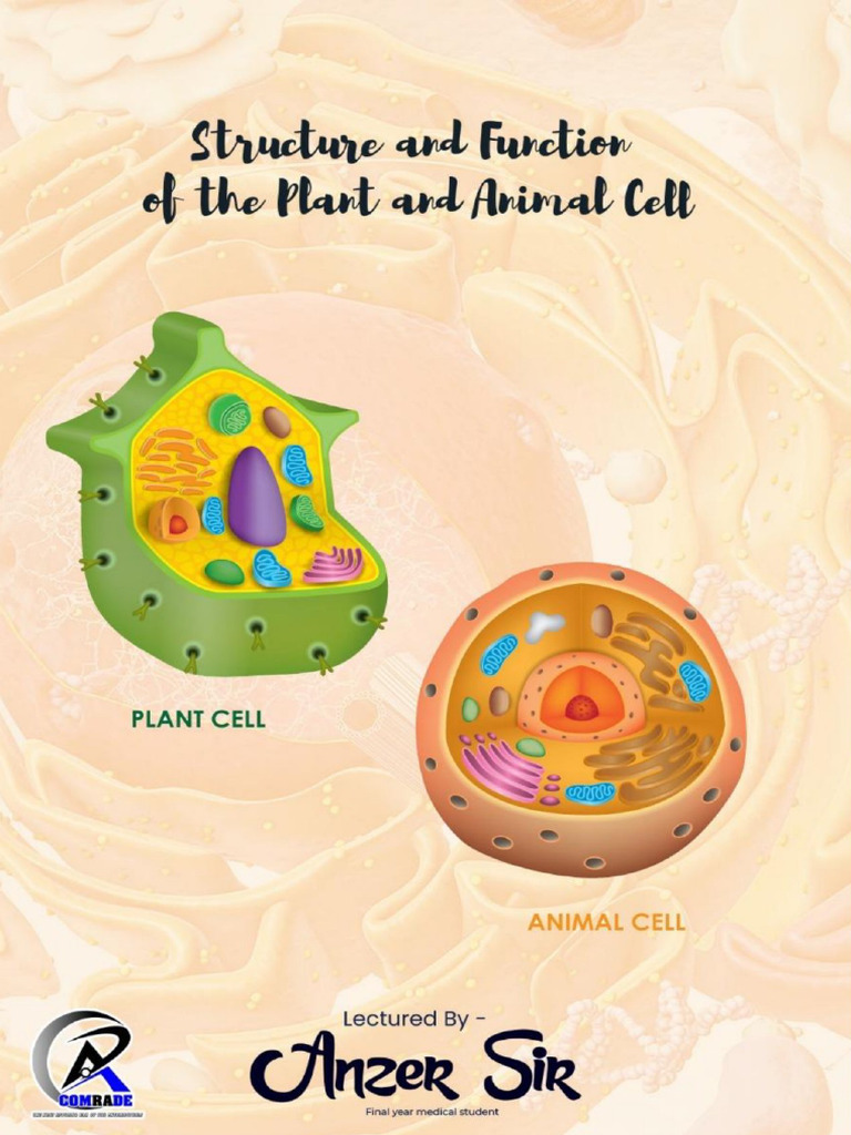 Science - G10 - L6 - Structure and Function of The Plant and Animal Cell | PDF